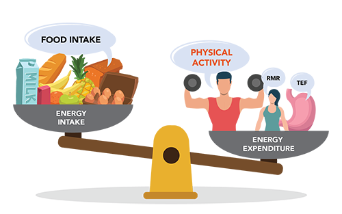 Active Health Energy Balance